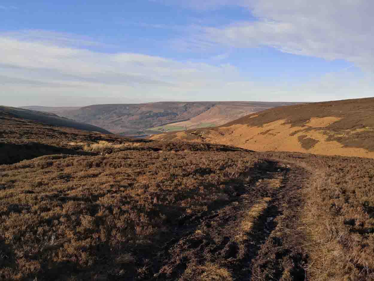 The Hidden Benefits of Trail Running: Discovering Nature's Gym - jogger ...